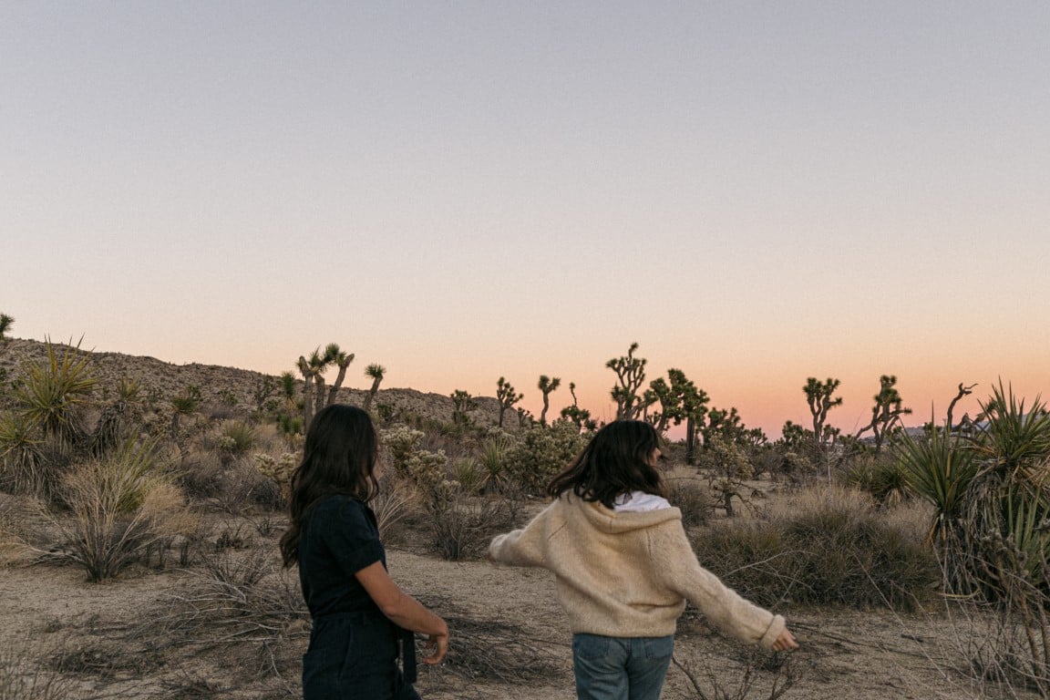Absolute Best Time to Visit Joshua Tree | Fieldtrip
